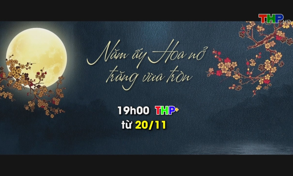 Giới thiệu phim mới: Năm ấy hoa nở trăng vừa tròn - Báo và Phát thanh, truyền hình Hải Phòng