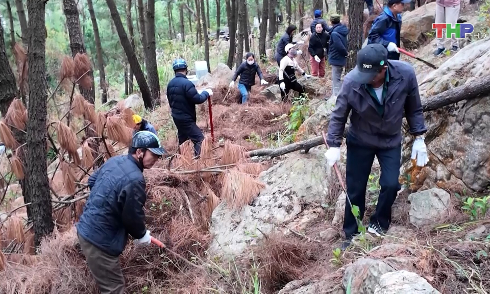 Tăng cường phòng, chống cháy rừng dịp cuối năm - Đài Phát thanh và ...